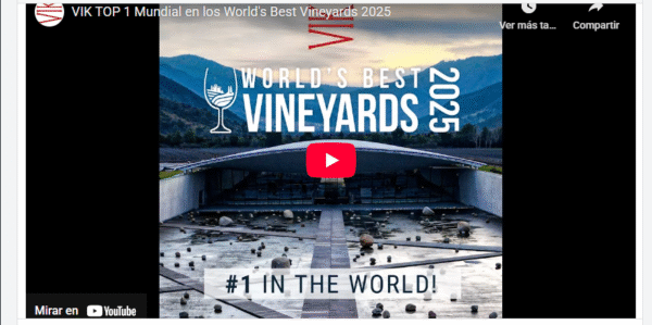 Viña VIK N°1 del Mundo: Orgullo para Chile y su Vino | casablancahoy.cl